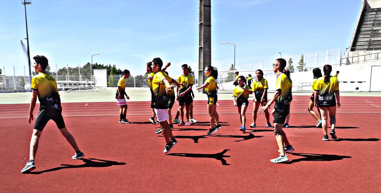 Ranking AADP 2020 - AADP